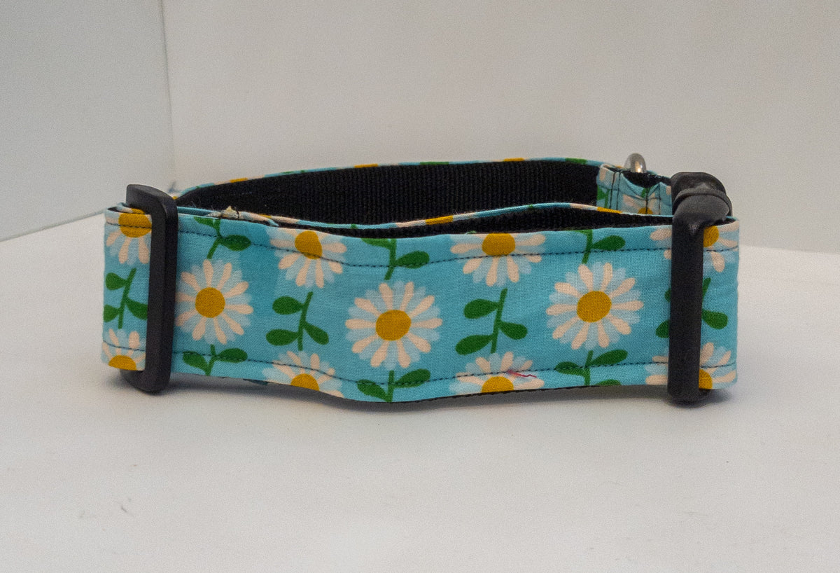 Happy Daisy – If I Had a Million Collars