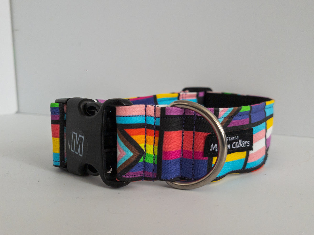 Love is Love Pride Collar – If I Had a Million Collars